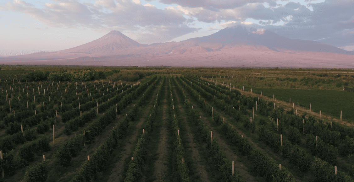 Armenian Brandy ARARAT - ARARAT Brandy